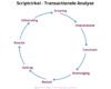 Transactionele Analyse in Coaching | Blankestijn en Partners